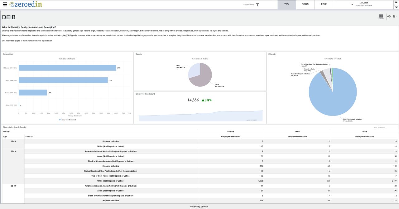 DEIB Metrics & Goals | ZeroedIn